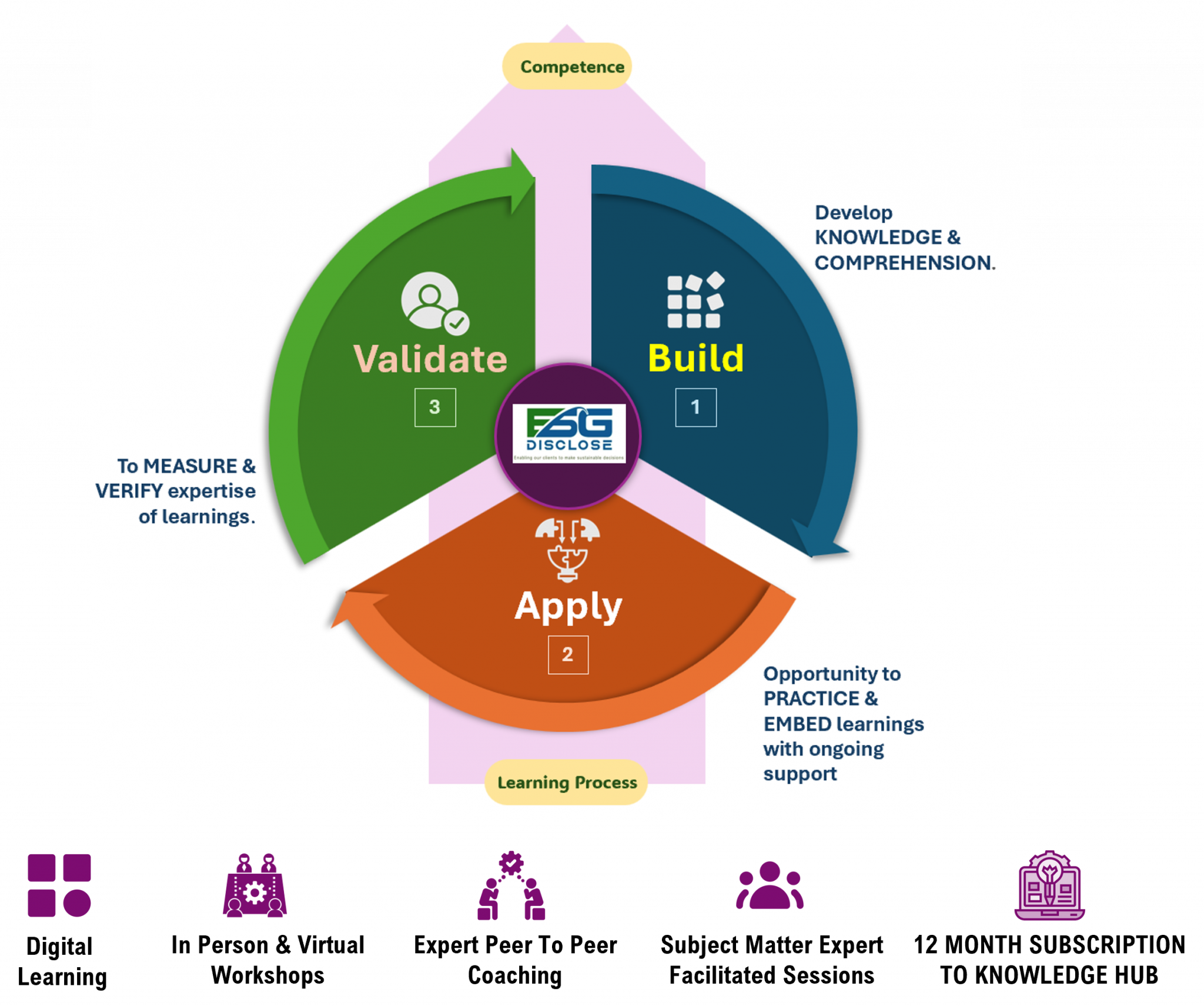 ESG Capability Building Programmes – CDC Consulting