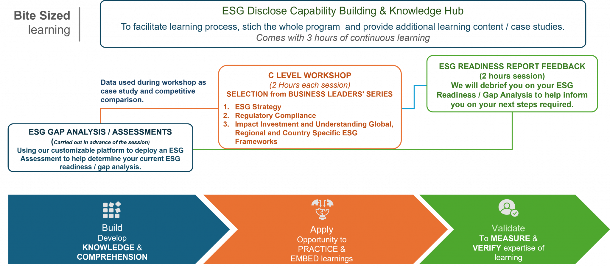 ESG Capability Building Programmes – CDC Consulting